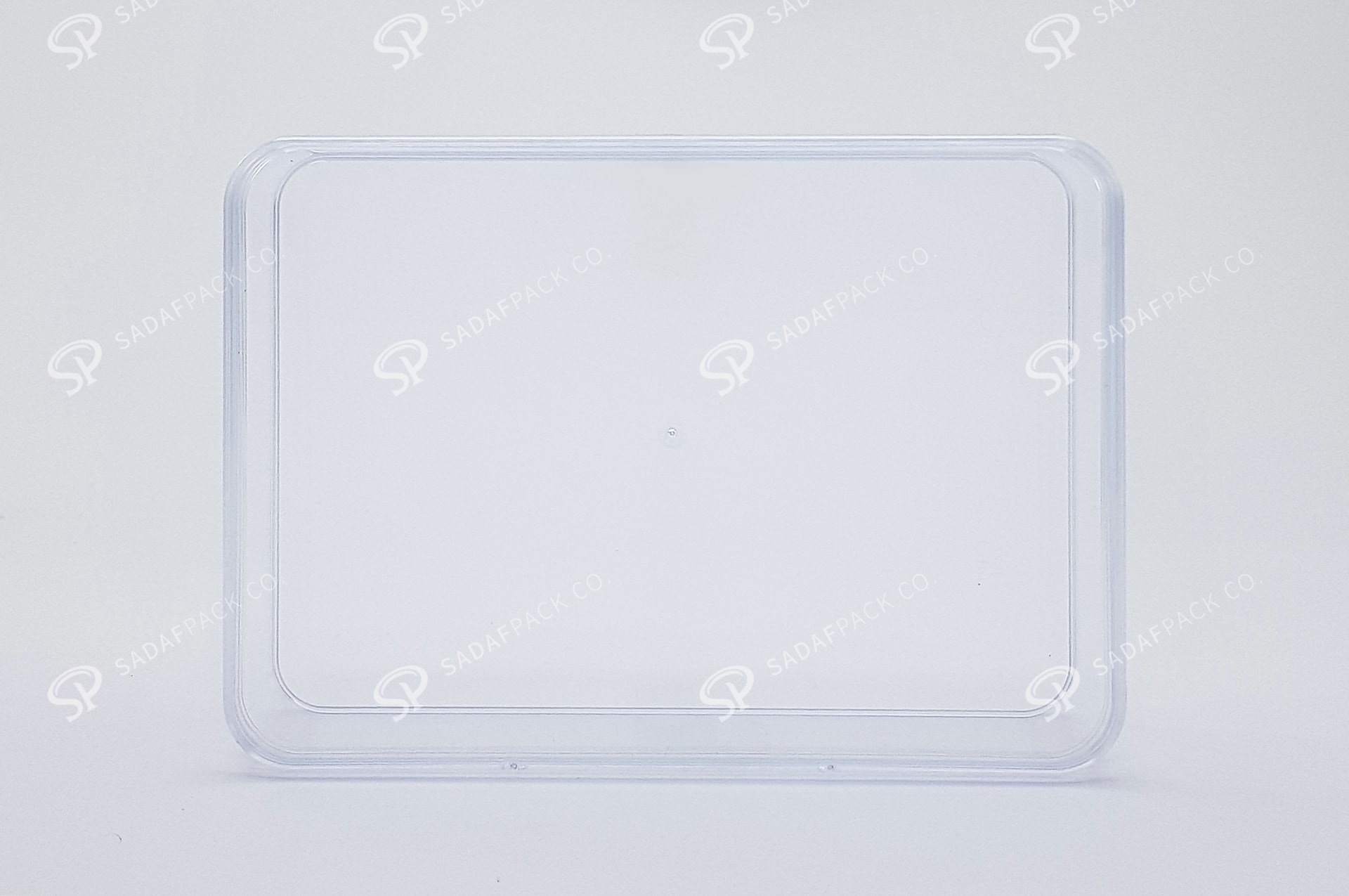 Crystal Container - Rectangular 100 - SadafPack